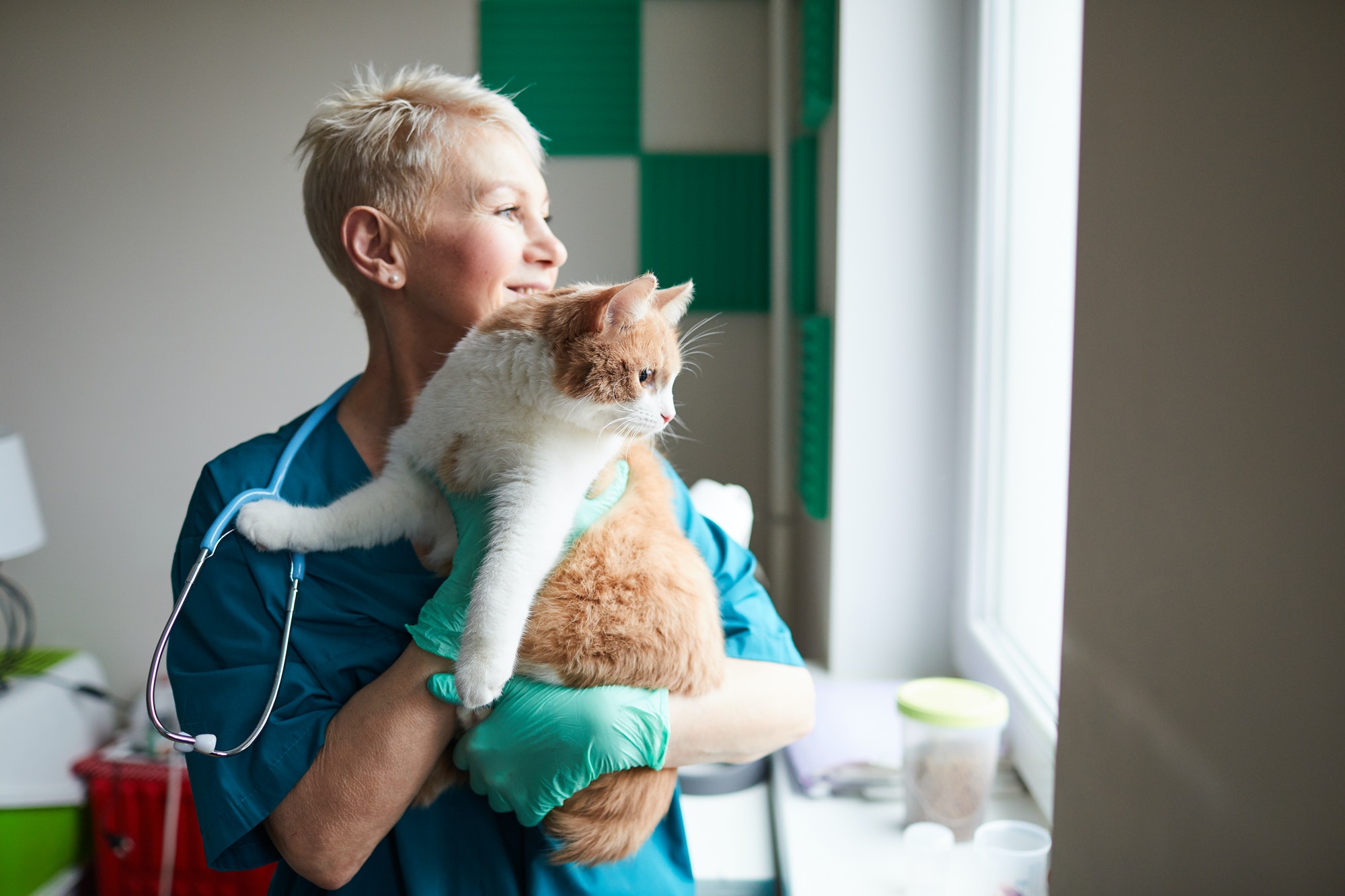 Eglinton Animal Hospital